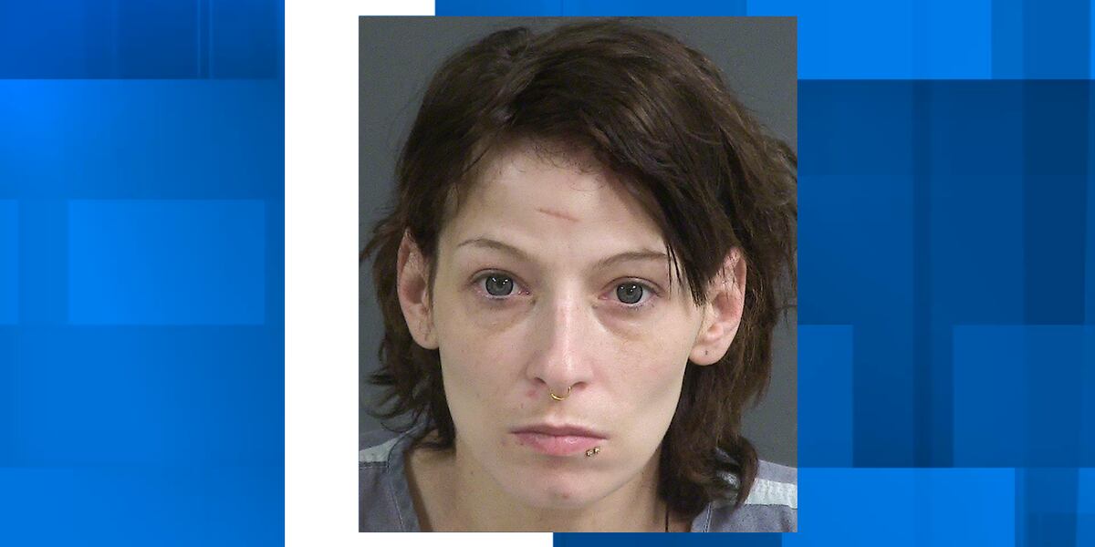 Woman Faces Charges After Reportedly Shooting At 2 In A Vehicle