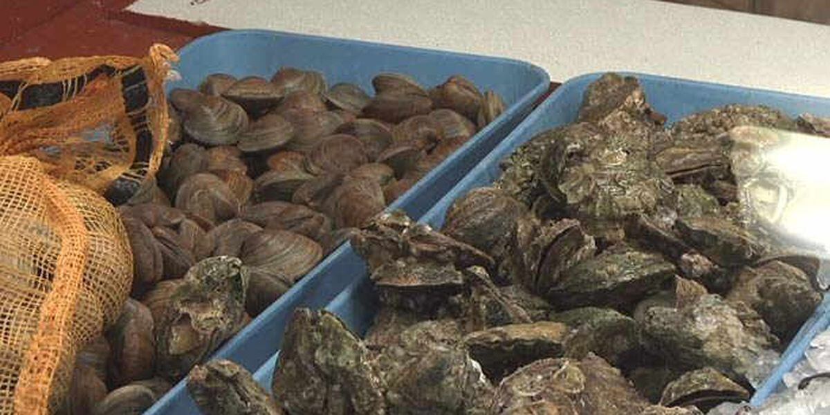 DHEC to reopen Charleston Co. shellfish harvesting beds DHEC to reopen Charleston Co. shellfish harvesting beds