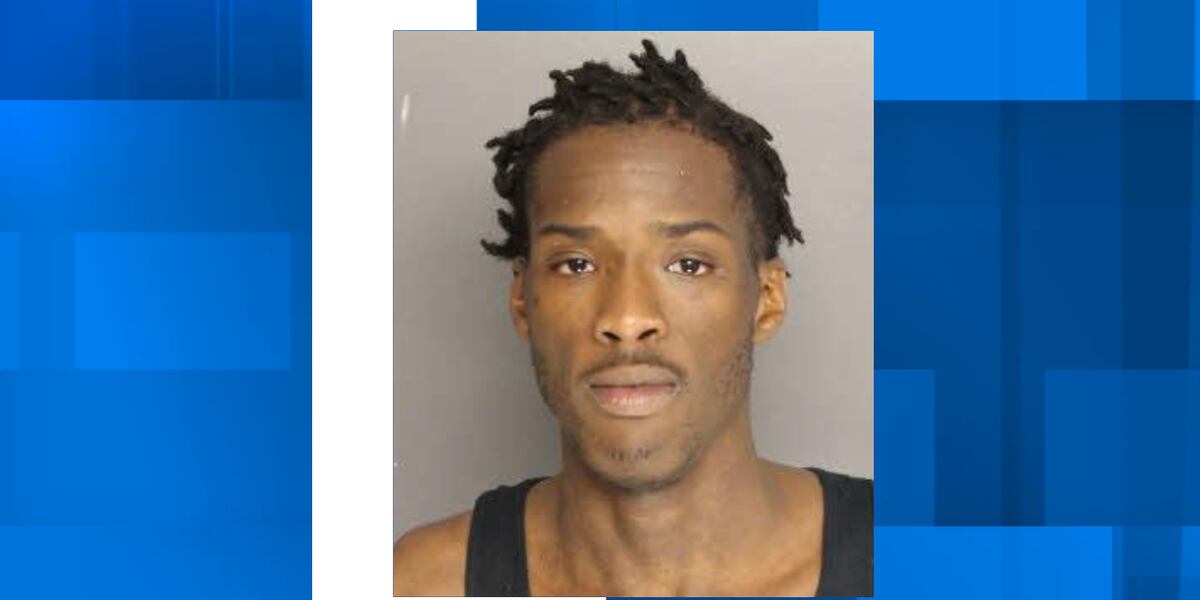 Man Facing Multiple Charges After Allegedly Fleeing From Deputies